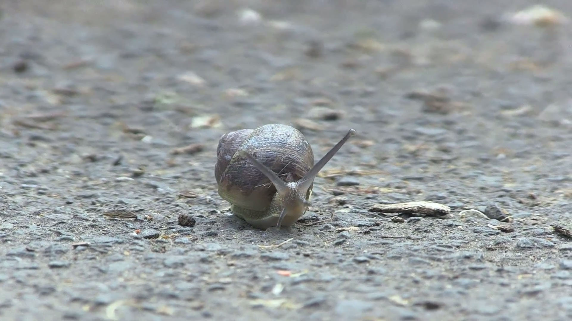 Home - hydar dewachi | hydar dewachi