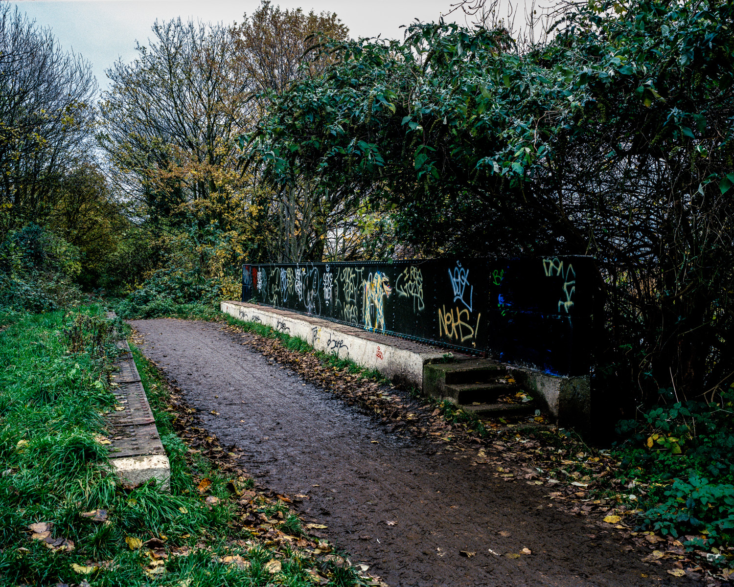 Northern Elegies - hydar dewachi | hydar dewachi