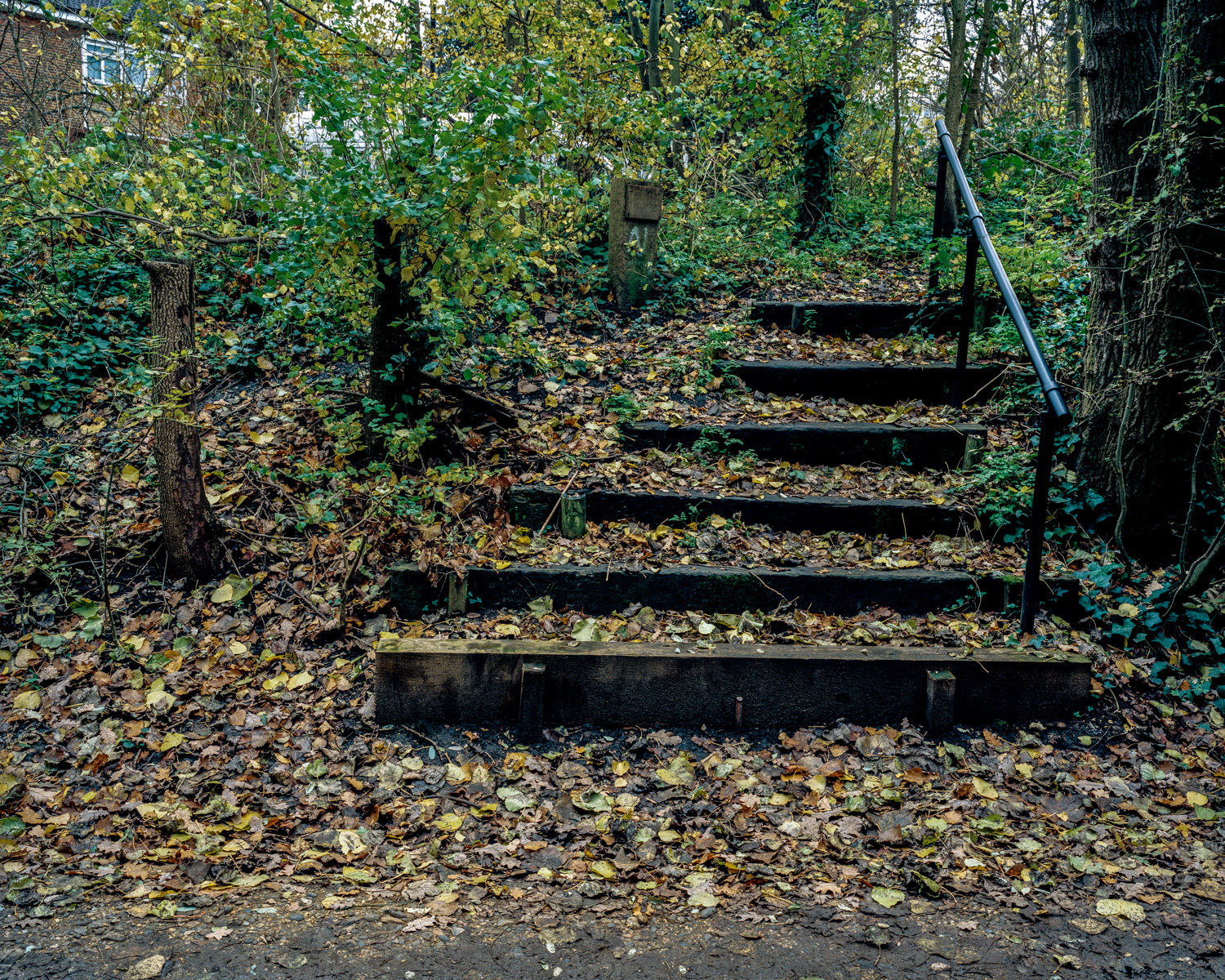 Northern Elegies - hydar dewachi | hydar dewachi