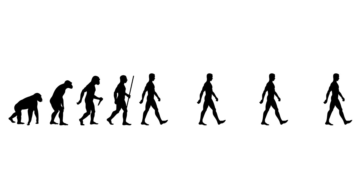 Evolution (2020) - hydar dewachi | hydar dewachi