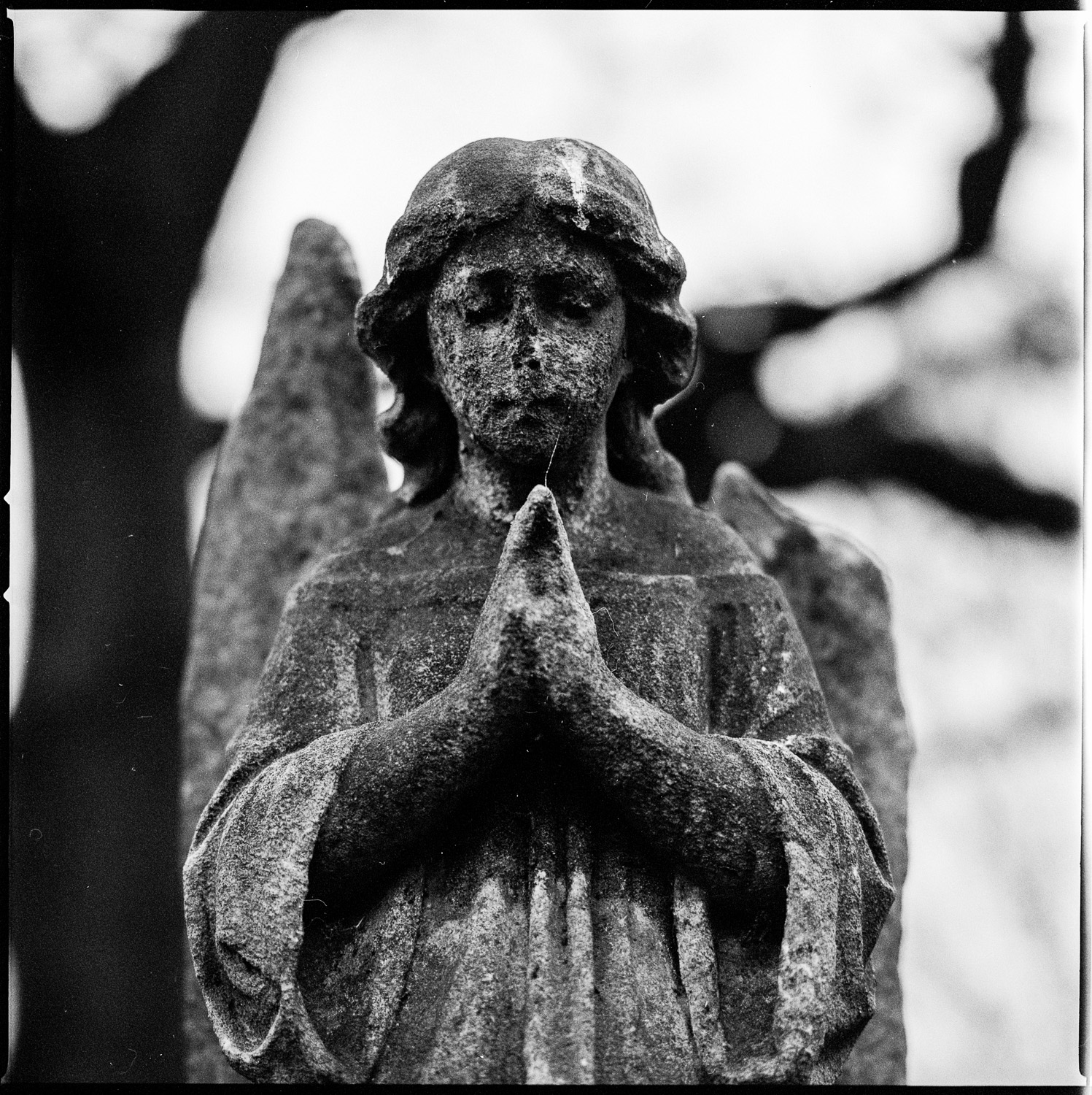 The Book of Life - hydar dewachi | hydar dewachi