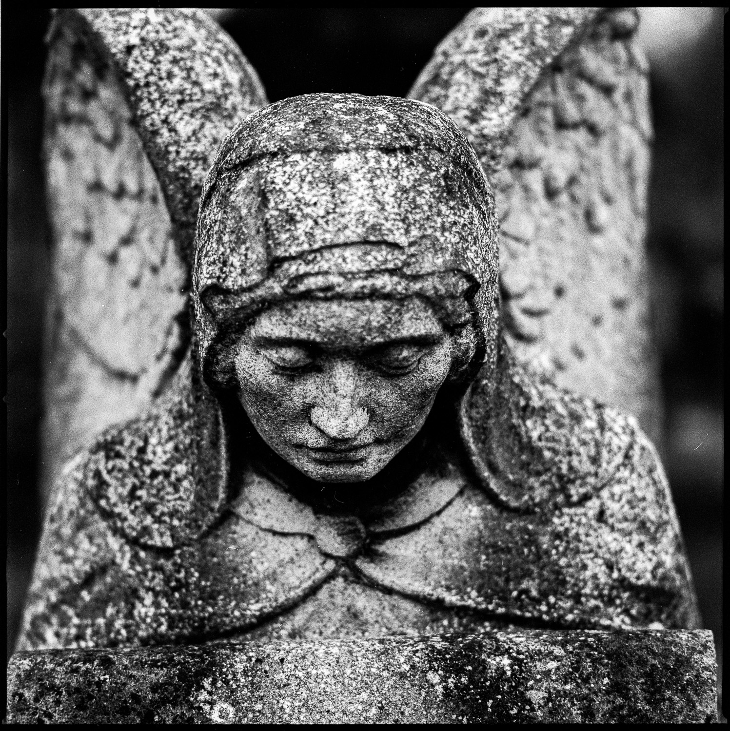 The Book of Life - hydar dewachi | hydar dewachi