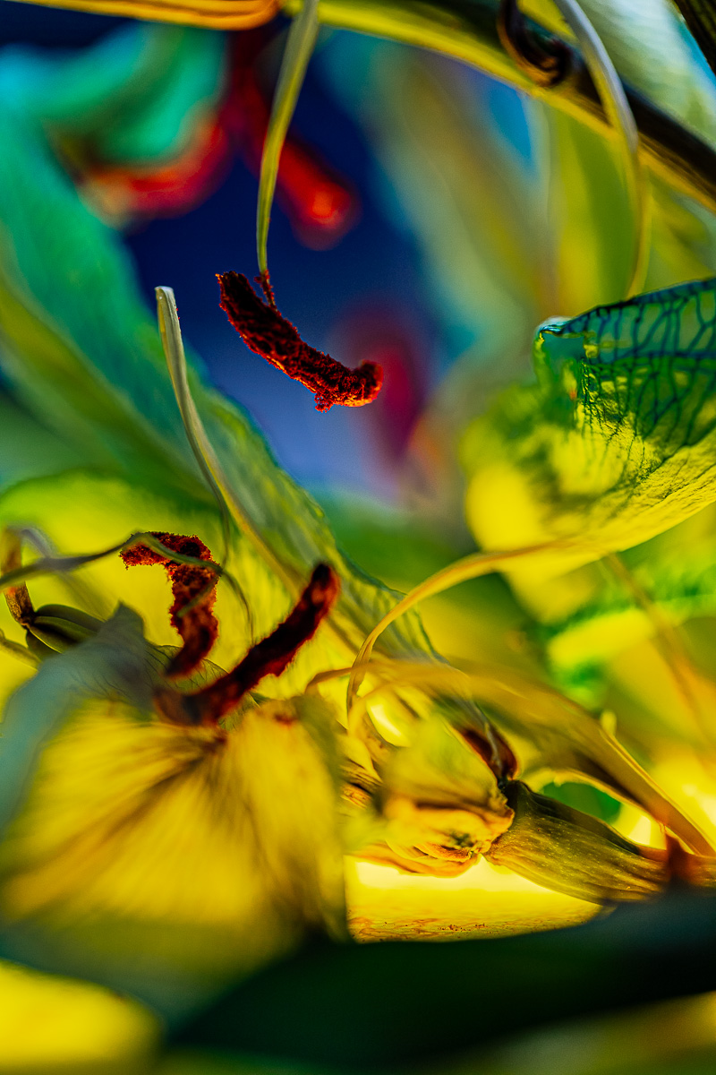 Adagio (Summer/ Autumn 2022) - hydar dewachi | hydar dewachi