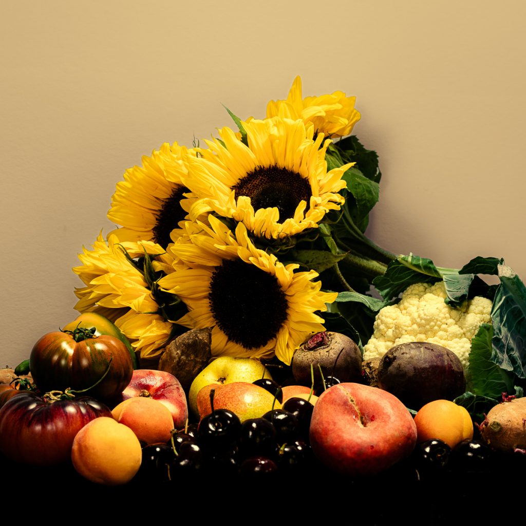 Adagio (Summer/ Autumn 2022) - hydar dewachi | hydar dewachi