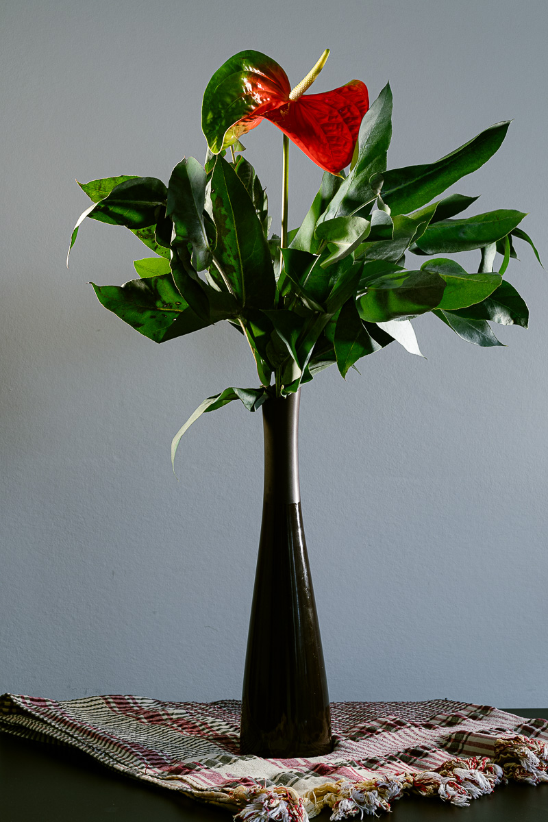 Adagio (Summer/ Autumn 2022) - hydar dewachi | hydar dewachi