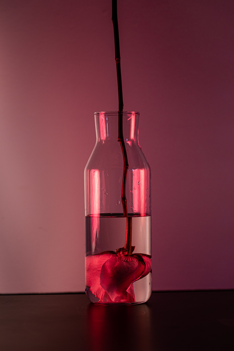 Adagio (Summer/ Autumn 2022) - hydar dewachi | hydar dewachi