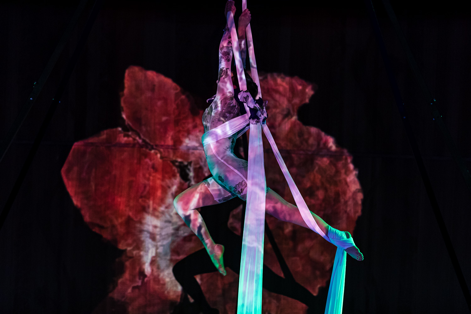 Sian Fan: Between Worlds - hydar dewachi | hydar dewachi