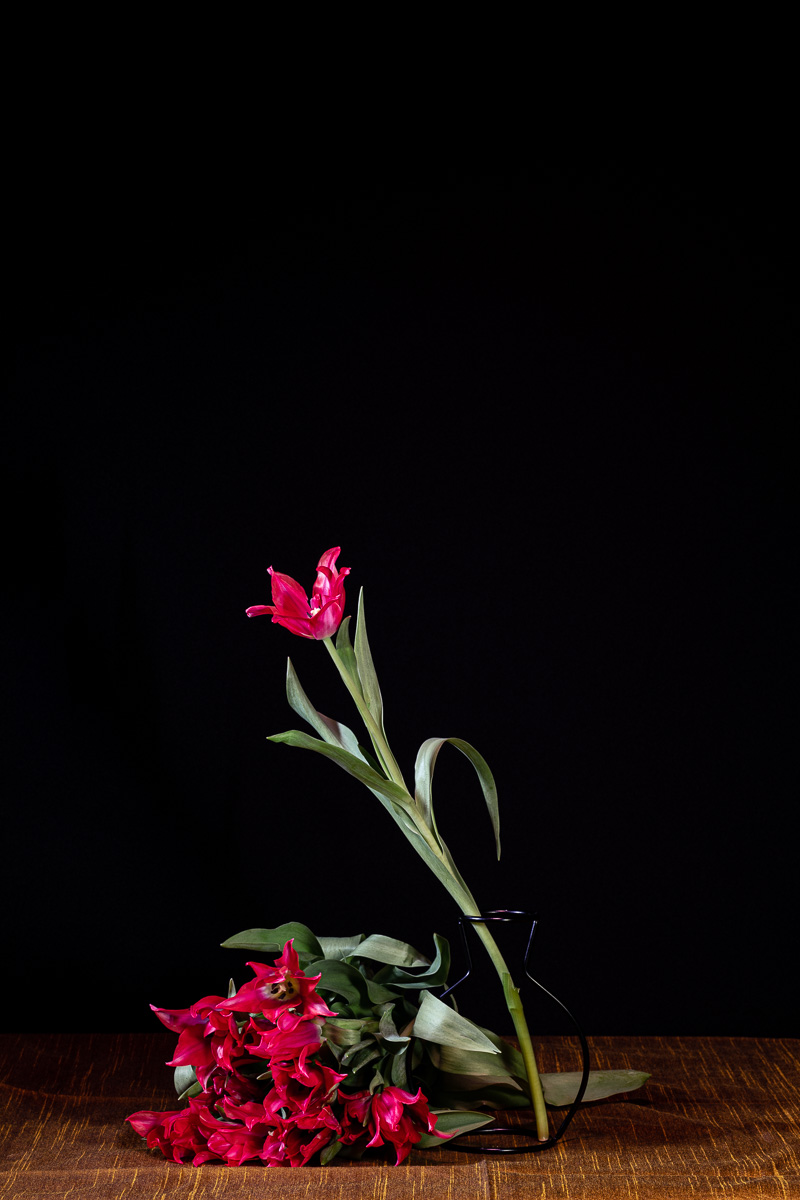 Adagio (Spring 2023) - hydar dewachi | hydar dewachi