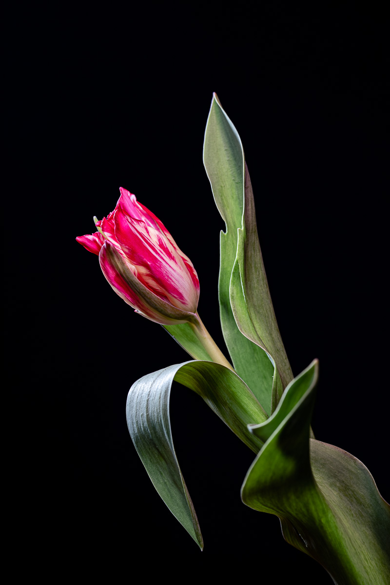 Adagio (Spring 2023) - hydar dewachi | hydar dewachi