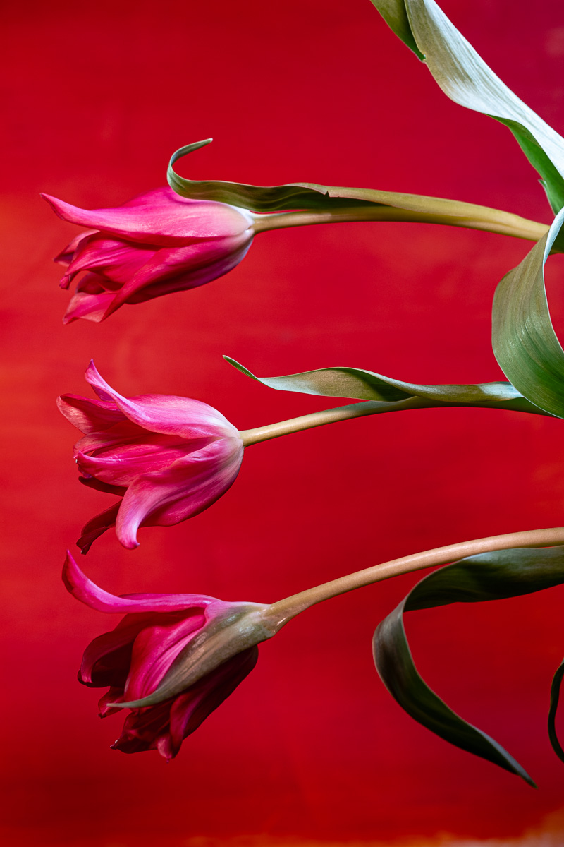 Adagio (Spring 2023) - hydar dewachi | hydar dewachi