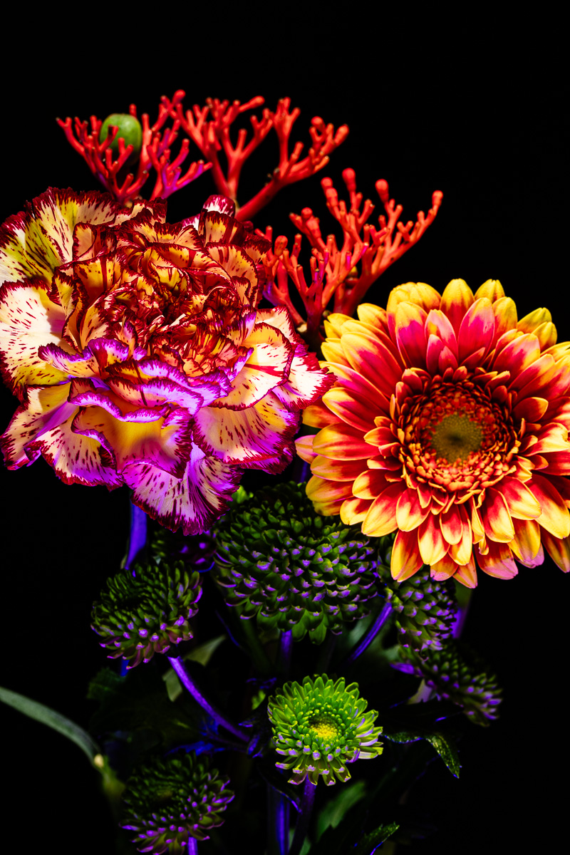 Adagio (Winter 2024) - hydar dewachi | hydar dewachi