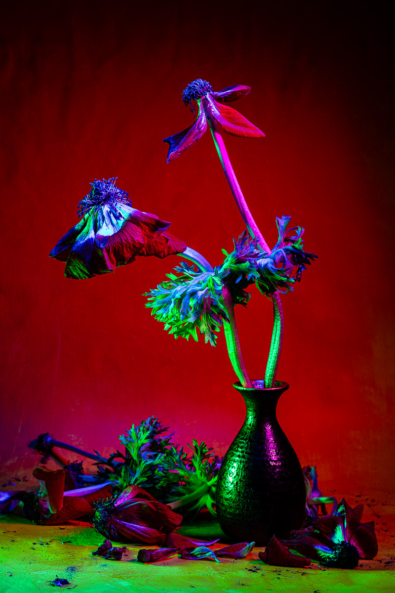 Adagio (Winter 2024) - hydar dewachi | hydar dewachi