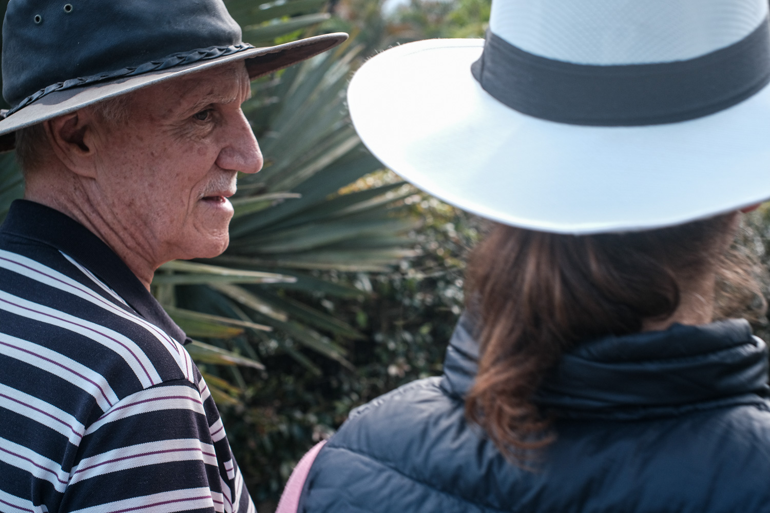 La Casa Amarilla - hydar dewachi | hydar dewachi