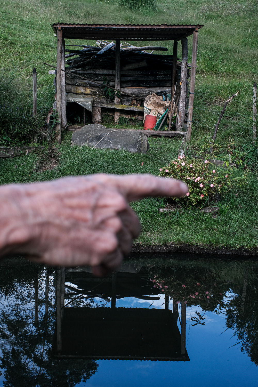 La Casa Amarilla - hydar dewachi | hydar dewachi